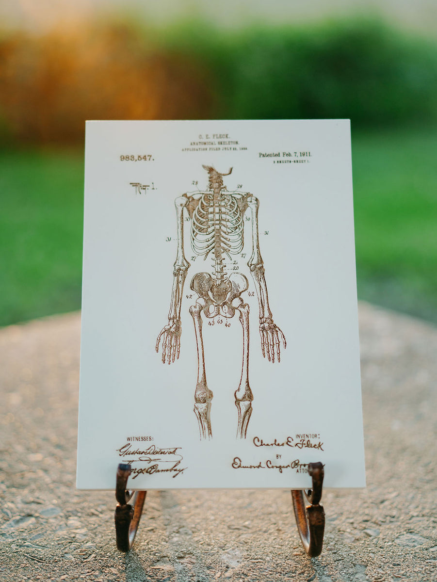 Anatomical Skeleton - Patent on Wood – Get Gifty With It